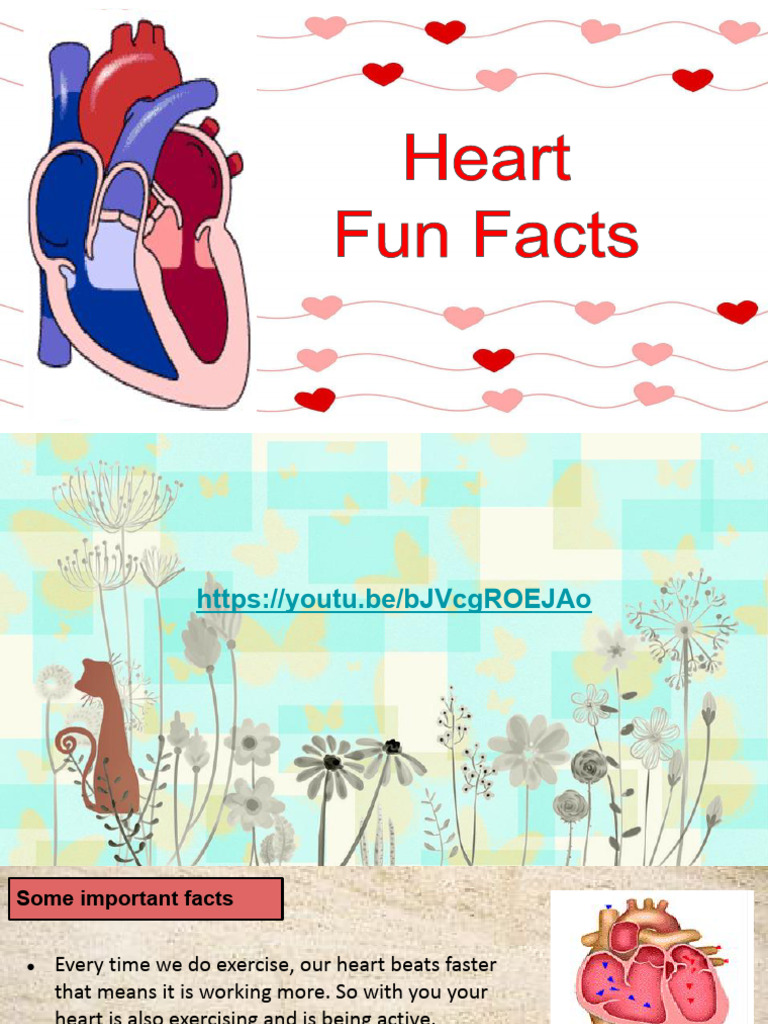 Heart Fun Facts Dated - 21 - 01 - 25 | PDF