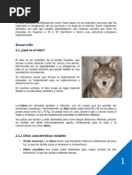 Lobos Continuemos Estudiando | PDF | Zoología
