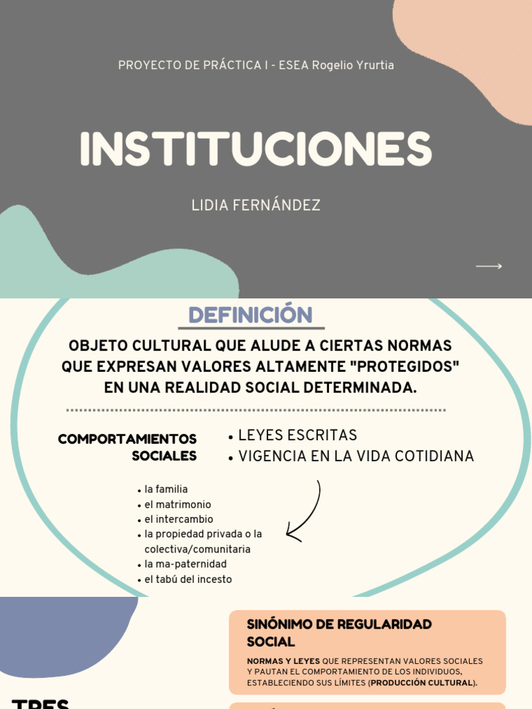 Instituciones (Lidia Fernández) | PDF | Plan de estudios | Institución
