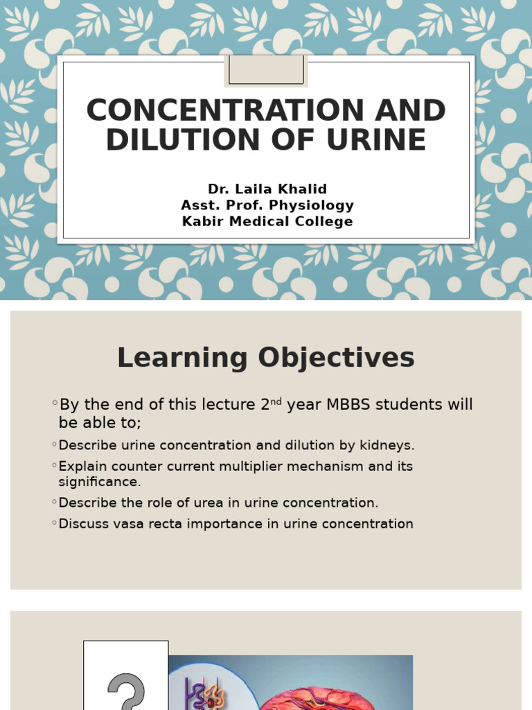 Urine Concentration and Dilution Mechanisms | PDF | Kidney | Organ ...
