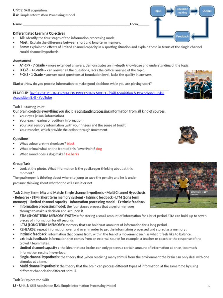 8.4. Simple Information Processing Model Students | PDF | Information ...
