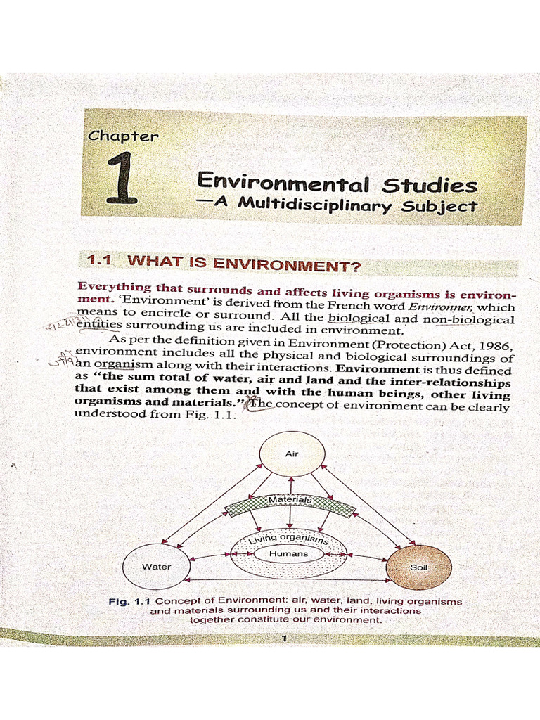 EVS 1st Chapter | PDF
