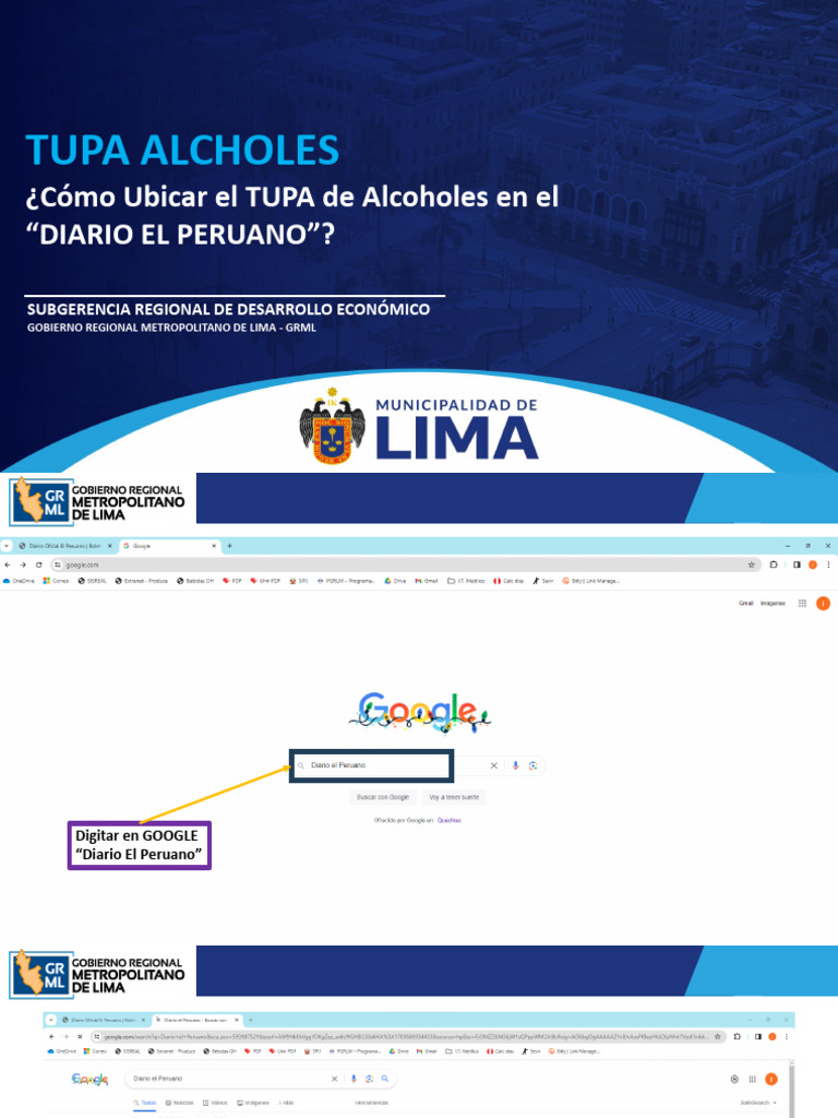 Tupa de Alcoholes - Diario El Peruano 28 12 2023 | PDF