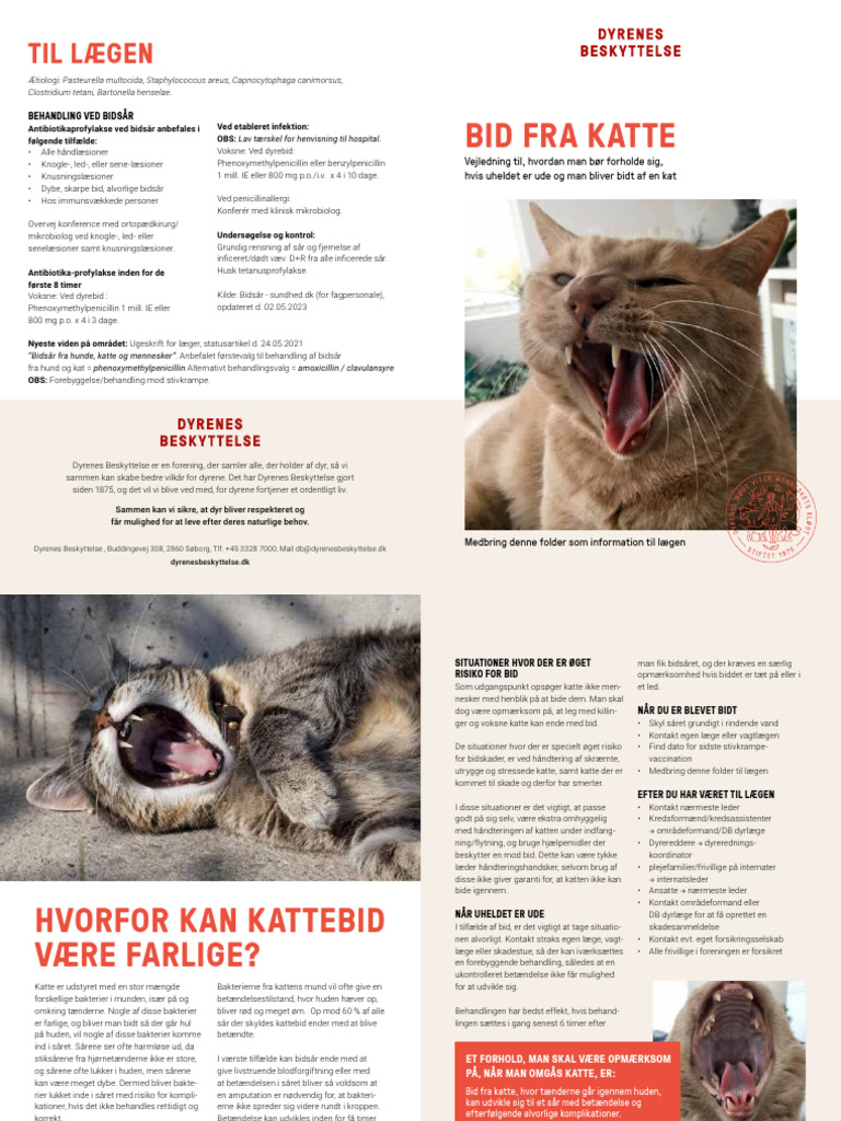 DB - Folder - Kattebid - Version4 1.0-1 | PDF