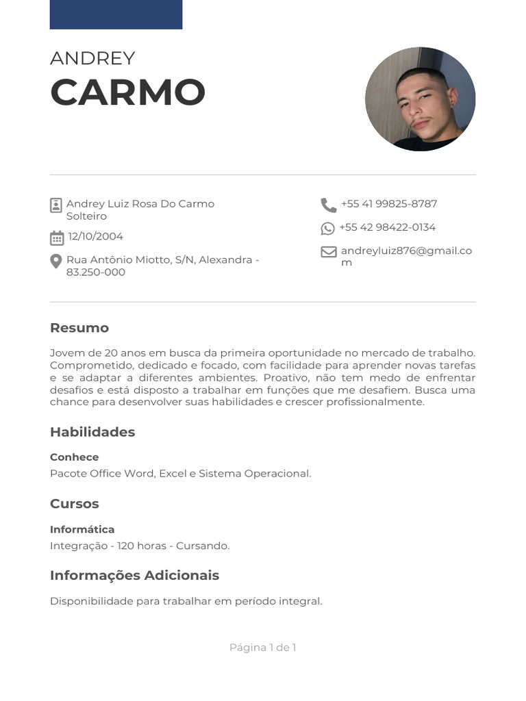 CV Andrey Luiz | PDF
