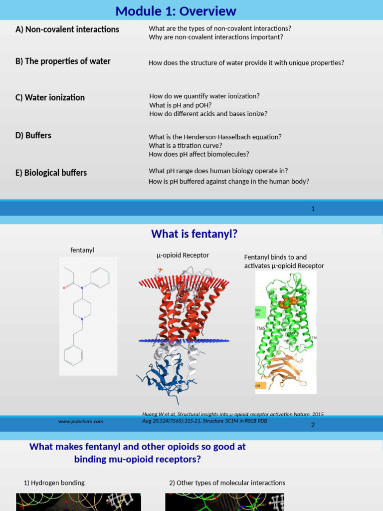 Lecture Module 1 2024 Condensed1 | PDF | Properties Of Water | Chemical Polarity