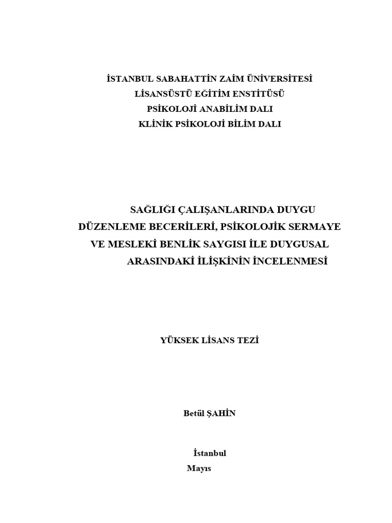 BETÜL ŞAHİN -YL TEZ | PDF