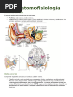Anatomía de la Caja Timpánica | PDF | Oído | Sistema Auditorio