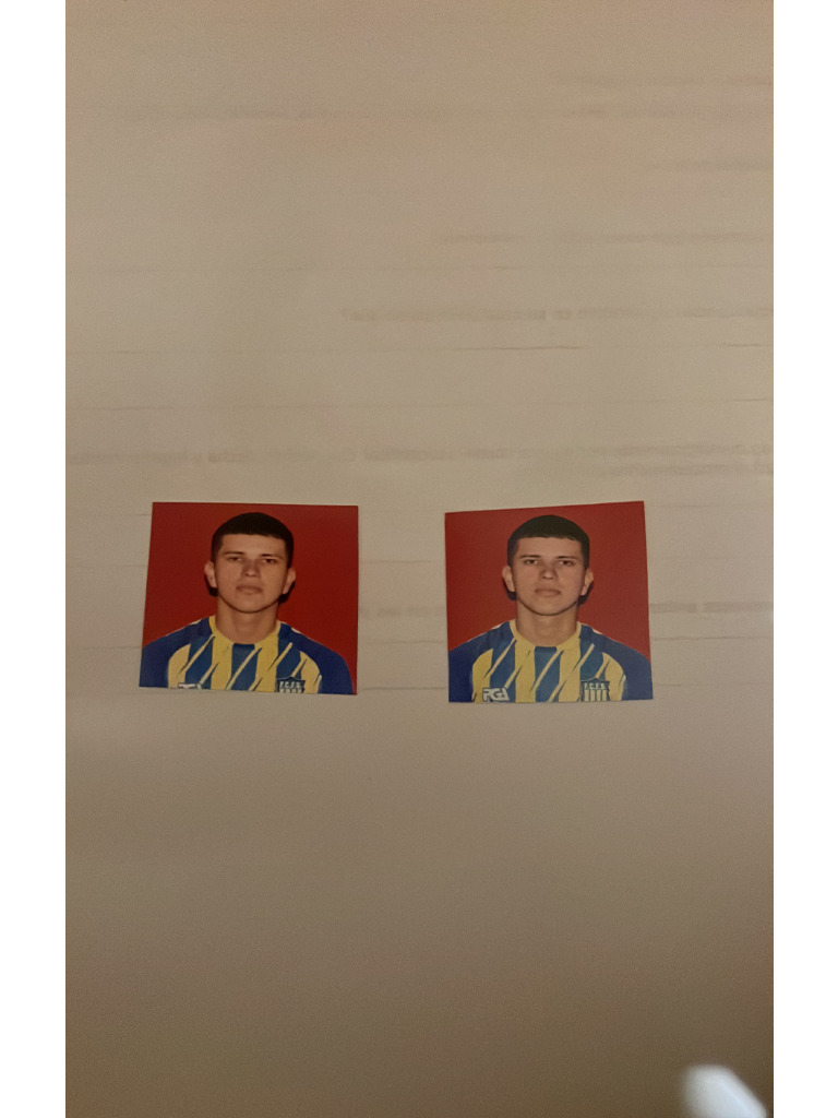 Foto Tipo Carnet .TN-Osmar Ramírez | PDF