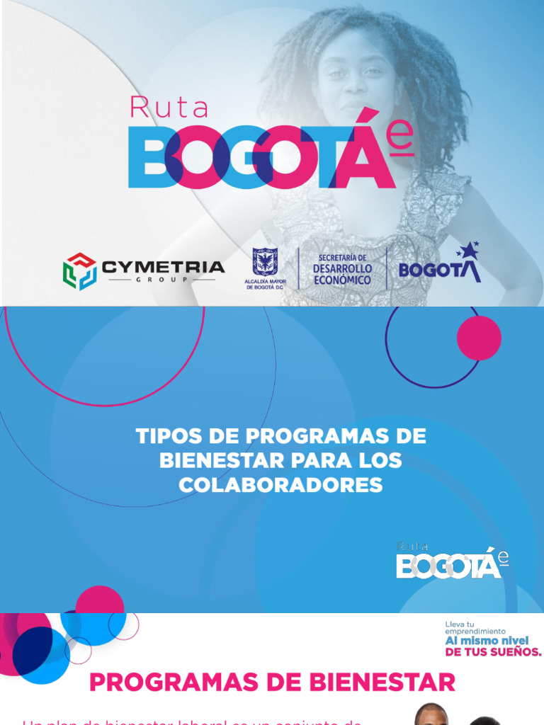 Tipos de Programas de Bienestar para Los Colaboradores | PDF