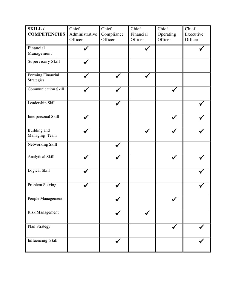 Executive Skills and Competencies Overview | PDF