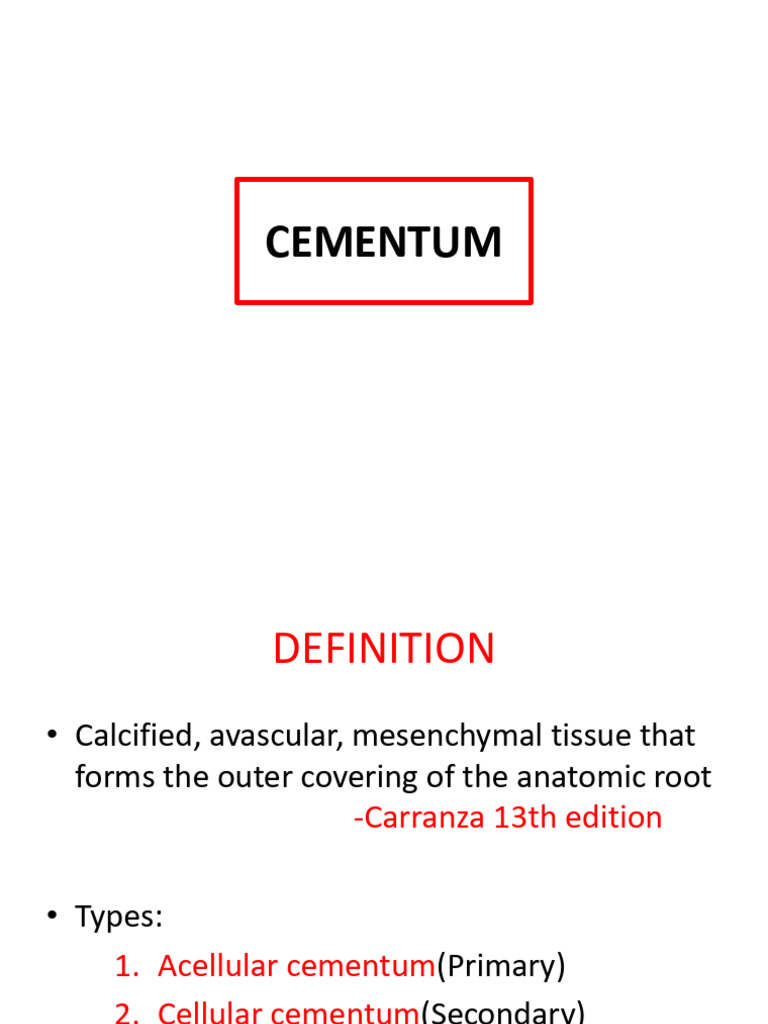 Cementum | PDF | Human Tooth | Dental Anatomy