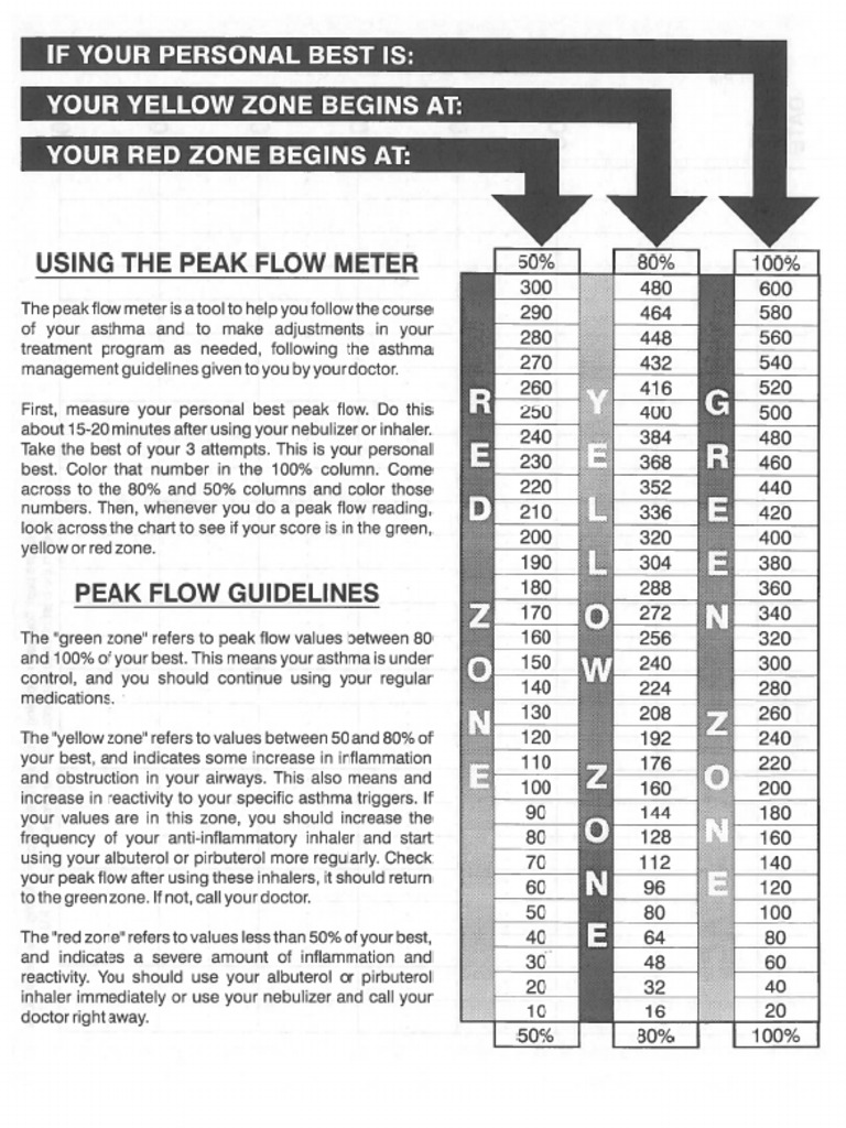 Peak Flow Chart | PDF