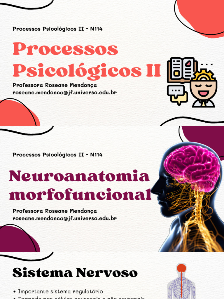Processos II - Criatividade | PDF | Sinapse | Neuroplasticidade