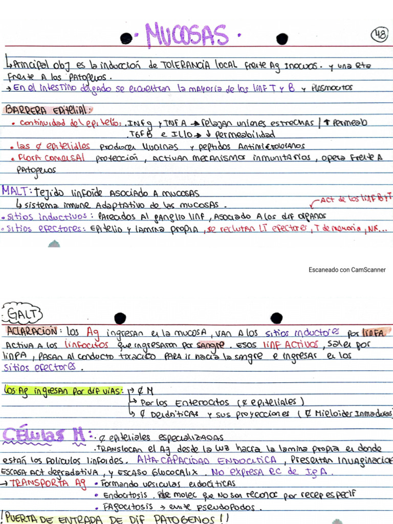 Mucosas - C Linf Innata tp6 | PDF