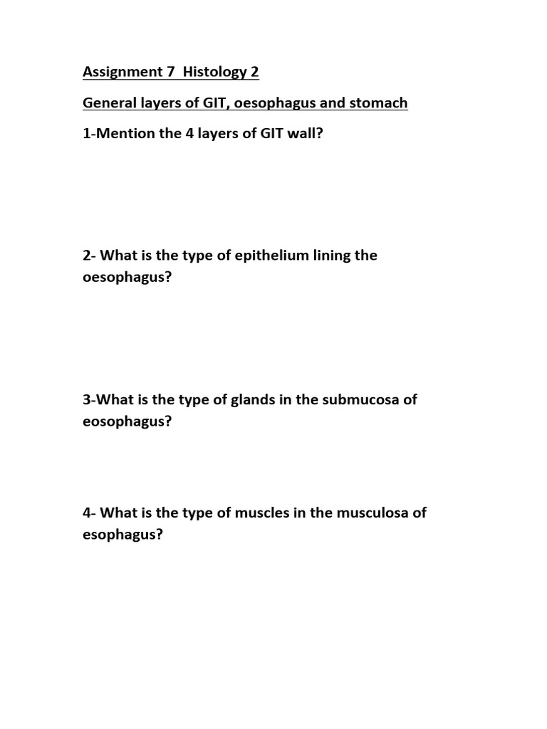 Assignment 7 Histology 2 | PDF