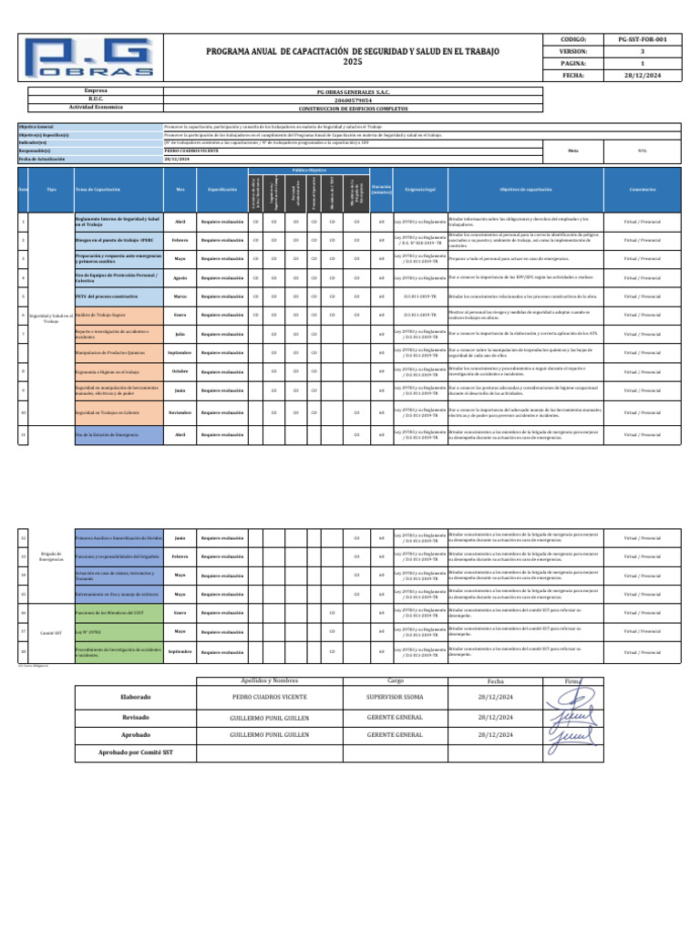 PG-SST - Programa Anual SST 2025 | PDF | La seguridad | Business