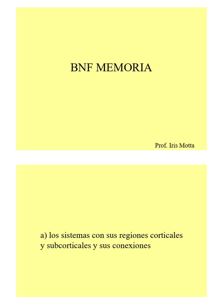 BNF Memoria | PDF | Memoria | Corteza cerebral