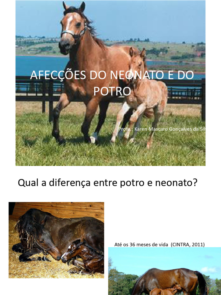 Cuidados e Doenças em Potros Neonatos | PDF | Especialidades médicas