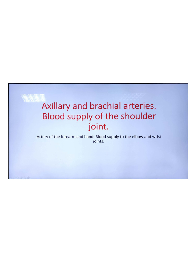 CS-4 (Shoulder Blood Supply) 2 | PDF