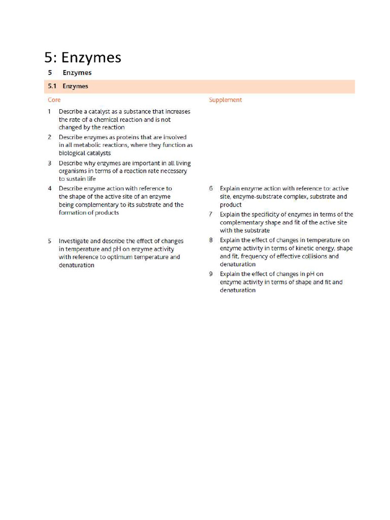 5 Enzymes | PDF