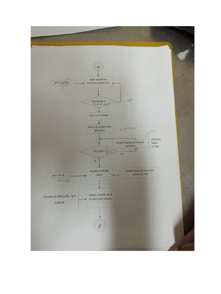 Alcohol de Suero | PDF