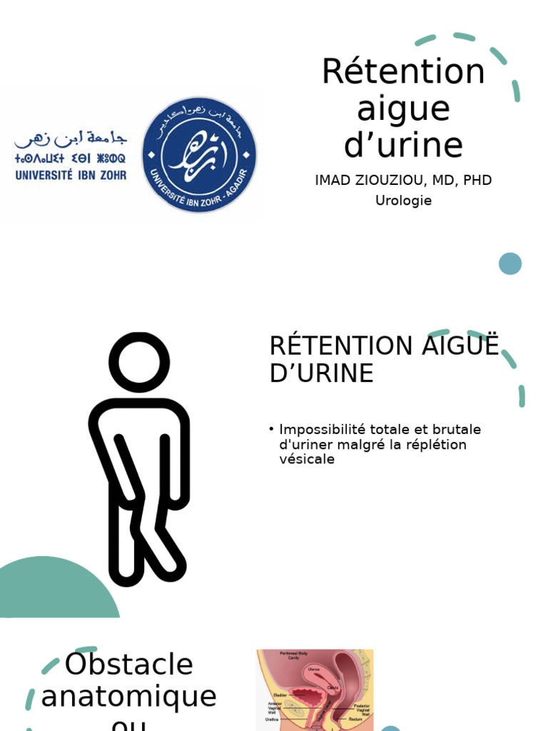 Rétention Aiguë d'Urine : Causes et Symptômes | PDF | Prostate ...