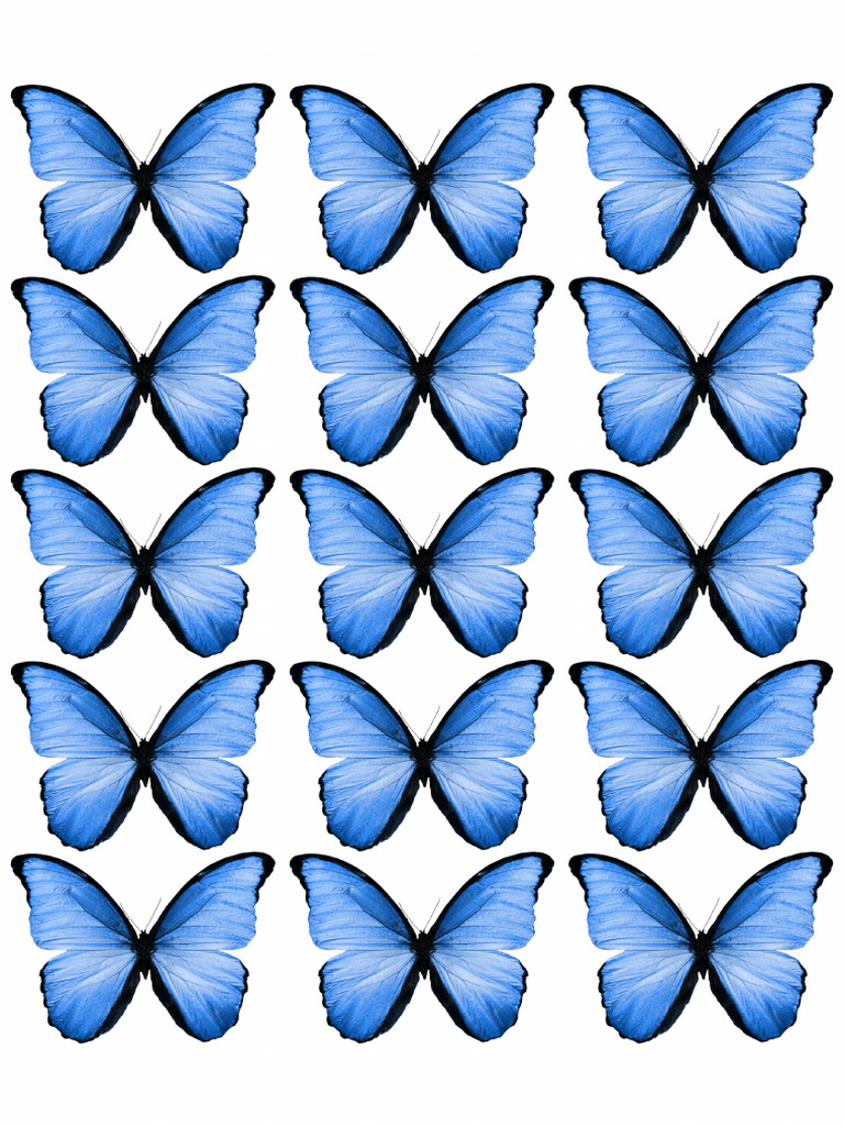 Design Sem Nome - 20250422 - 150706 - 0000 | PDF