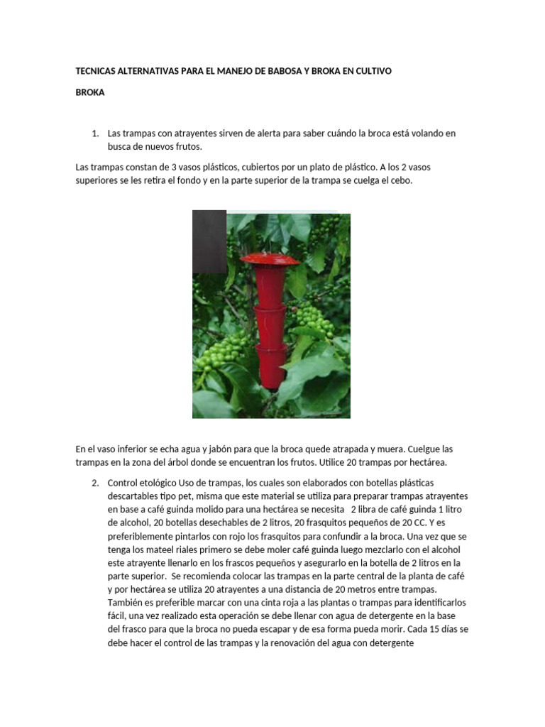 Tecnicas Alternativas para El Manejo de Babosa y Broka en Cultivo | PDF