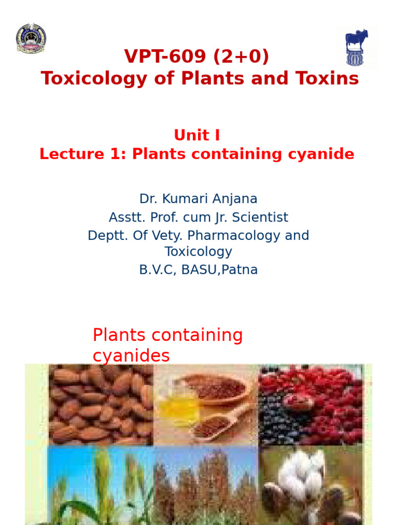 Unit I - Lecture 1. Plants Containing Cyanides | PDF | Cyanide ...