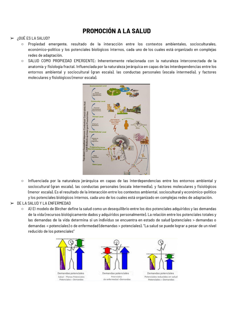 Salud y Carga Alostática: Conceptos Clave | PDF | Agua | Homeostasis