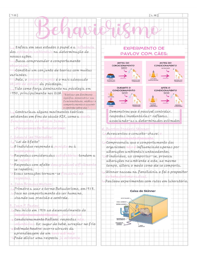 Resumo Behaviorismo | PDF