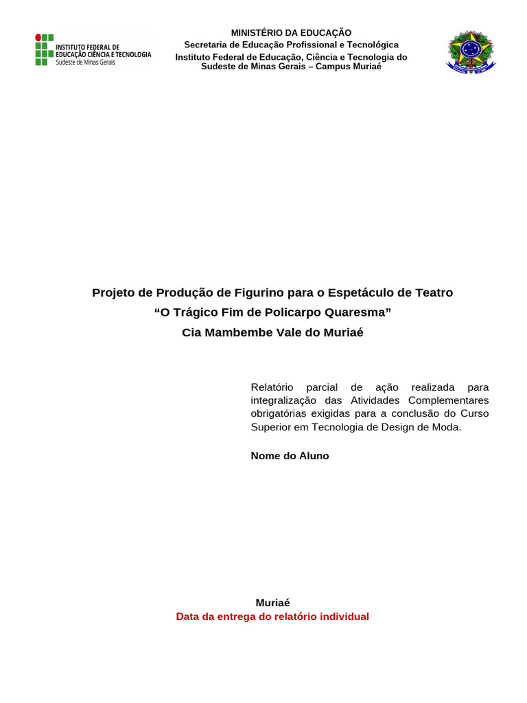Modelo de Relatório Individual de Cada Atividade Complementar | PDF