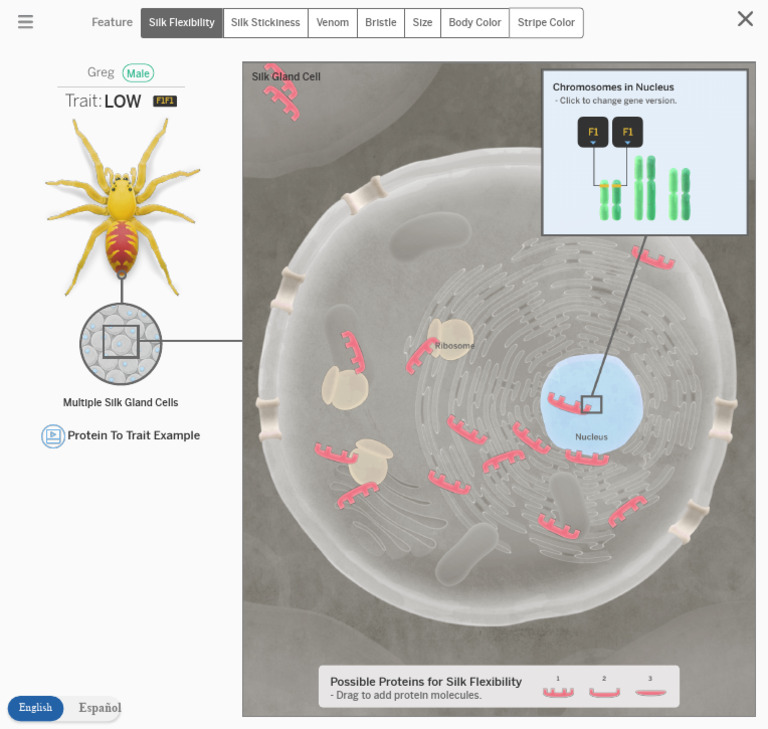 Traits and Reproduction | PDF