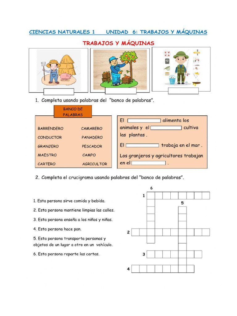 Tareas - Jhostin V, Jhostin S y Rosa | PDF