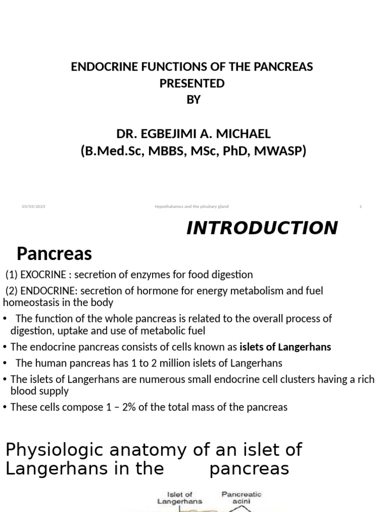 Endocrine Pancreas (Autosaved) | PDF | Insulin | Pancreas