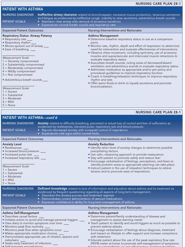 Asthma Care Plan | Asthma | Respiratory System