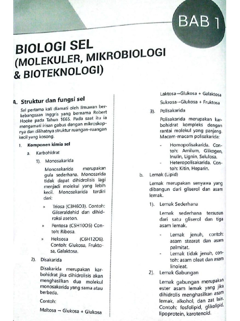 5 Biosel | PDF