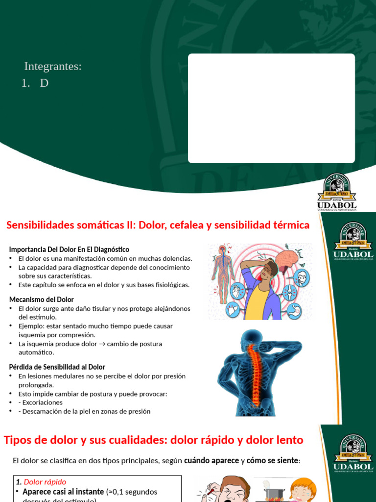 Cap 49. Sensibilidades Somaticas | PDF | Dolor | Fisiología