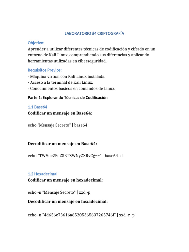 Laboratorio 4 Criptografia | PDF