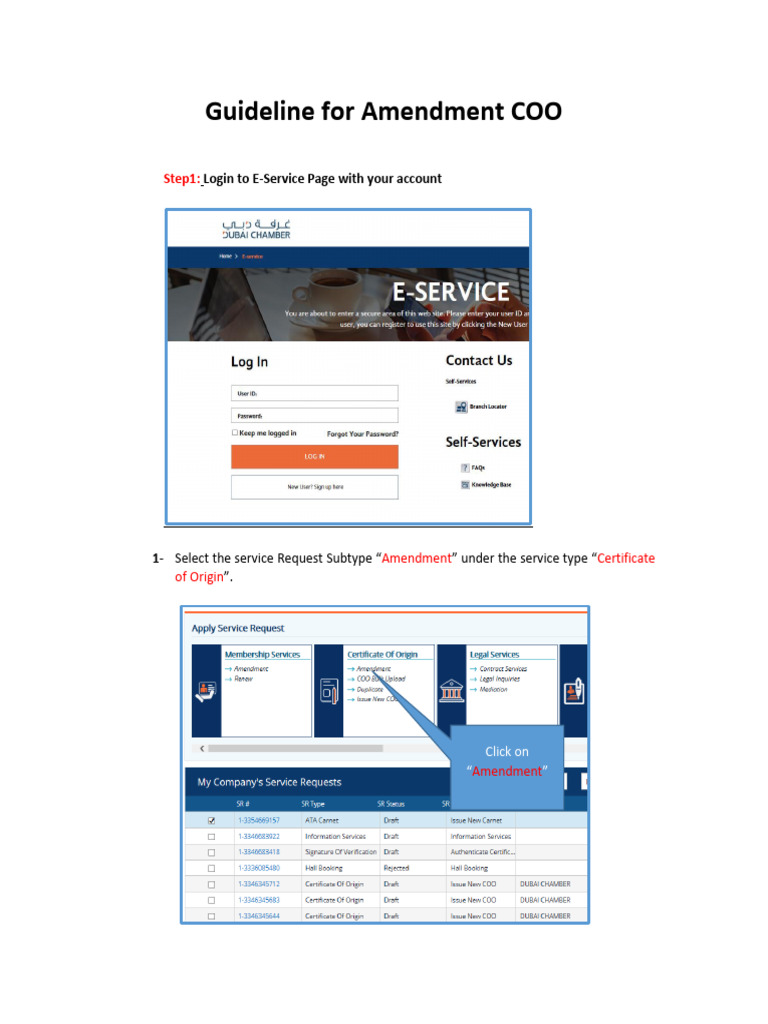 COO Amendment Process Guide | PDF