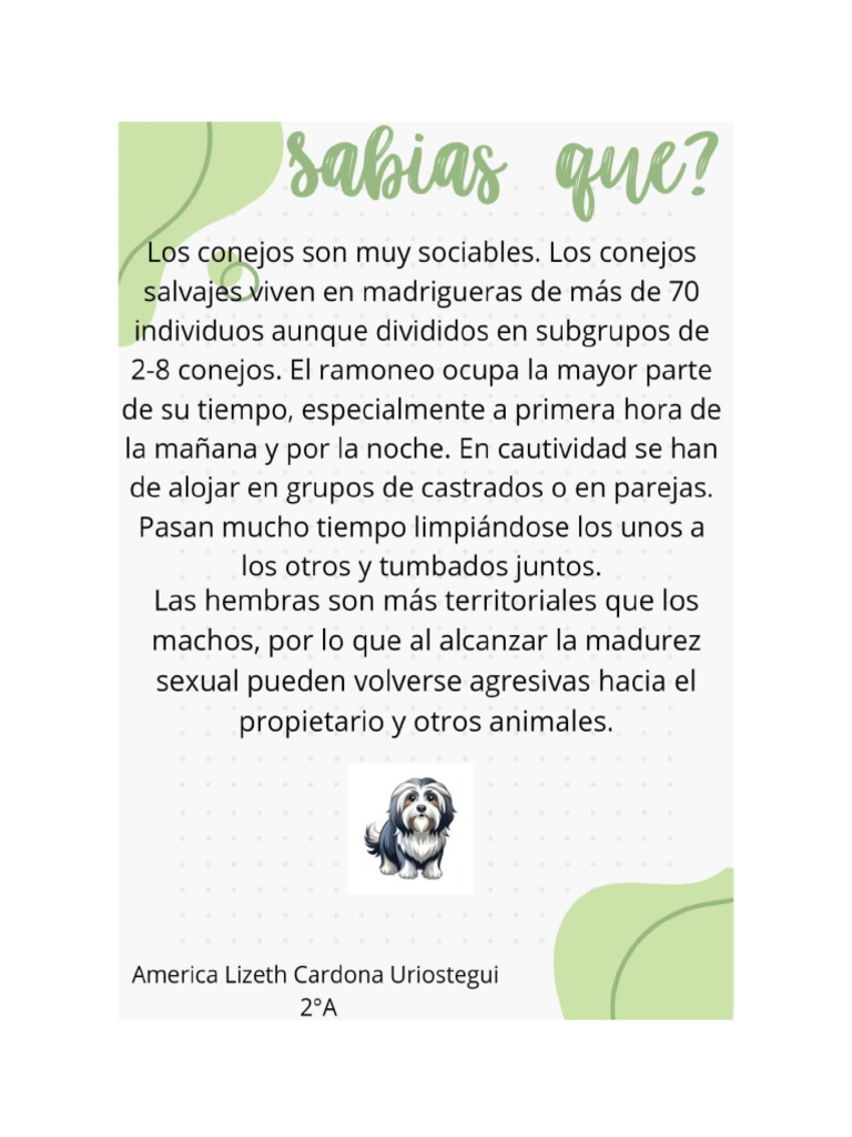 Conejos | PDF