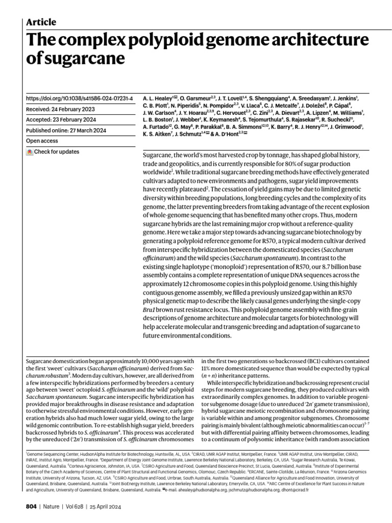 The Complex Polyploid Genome Architecture of Sugarcane | PDF | Genome ...