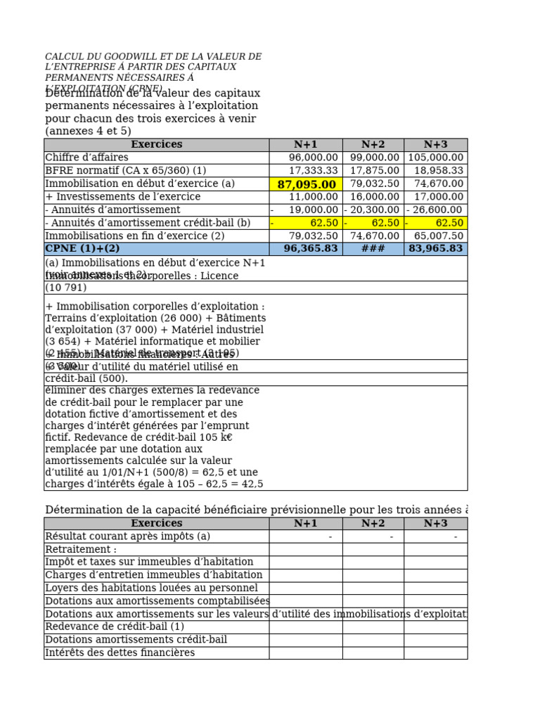 Analyse de la Capacité Bénéficiaire et Goodwill | PDF | Dépréciation ...