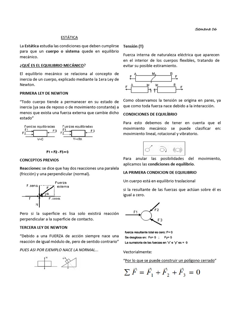 ESTÁTICA I resumen 1 | PDF | Fuerza | Fricción