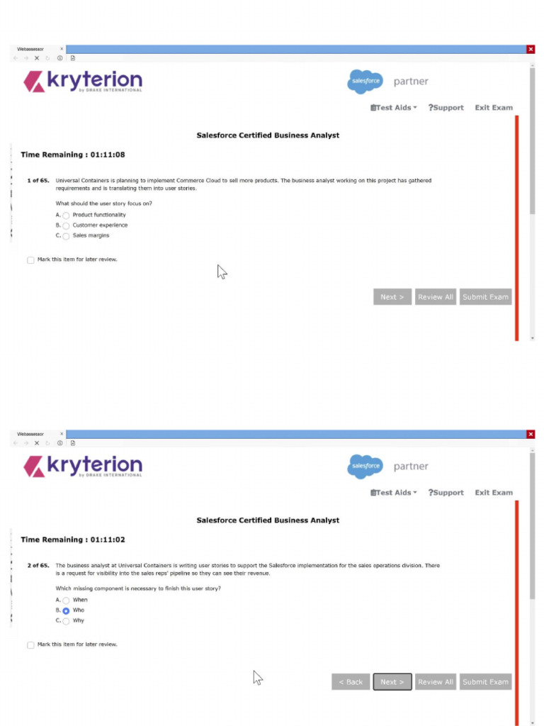 SP23 - Business Analyst - Set4 | PDF | Computing