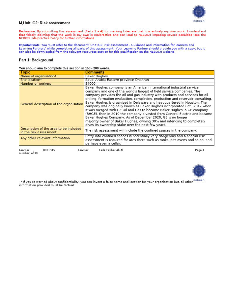 Baker Hughes IG2 Report PASSED...!!! (1) | PDF | Employment ...