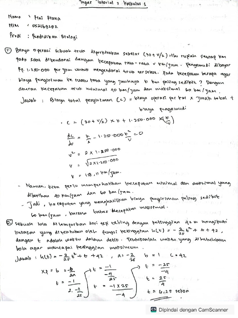 Tugas Tutorial 3 Kalkulus 1 Rini Riana | PDF