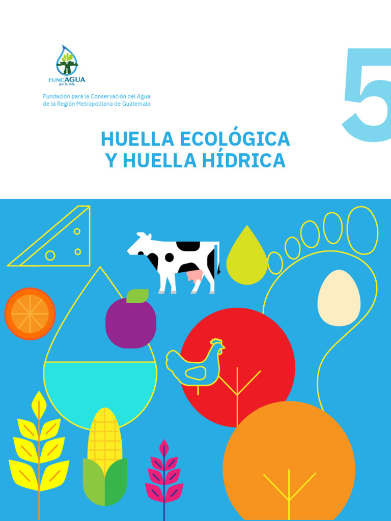 Módulo 5 Huella Ecológica y Huella Hídrica | PDF | Agua | Ciencias de ...