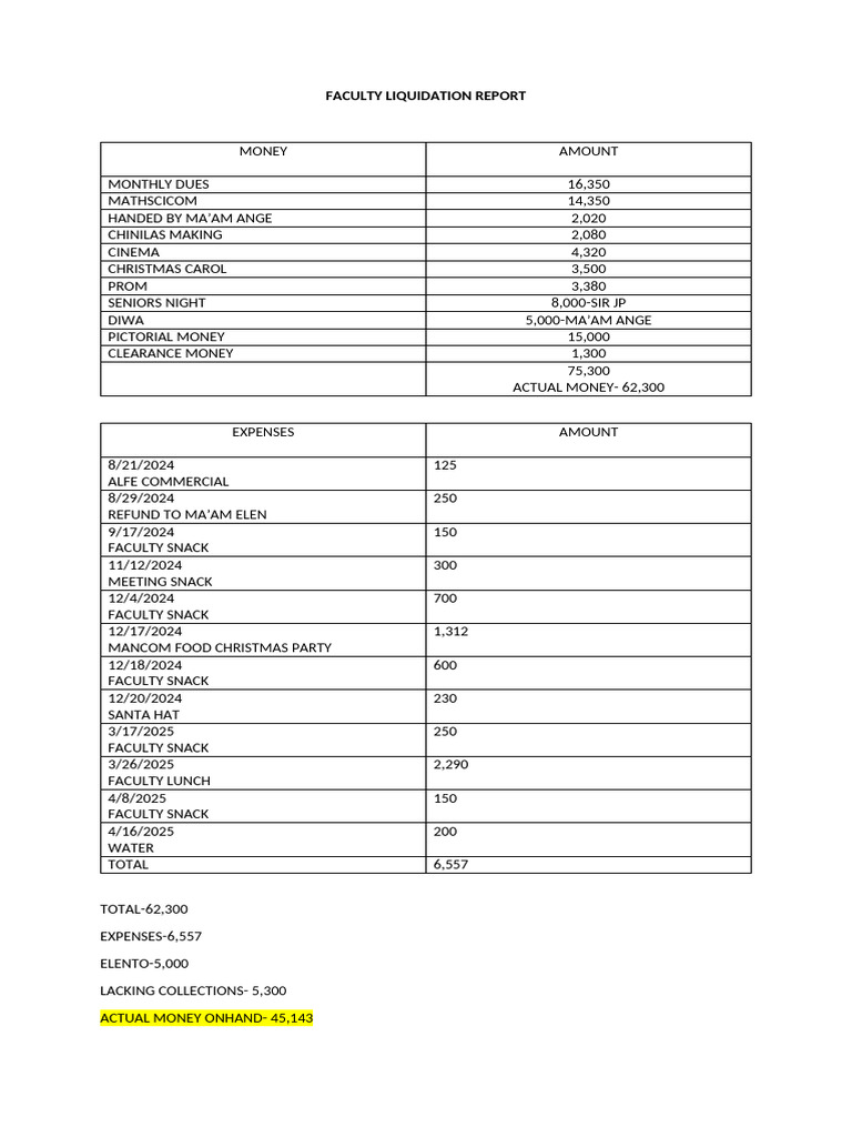 FACULTY LIQUIDATION REPORT | PDF